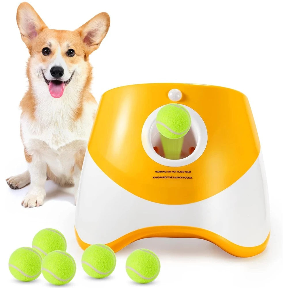 Automatic Dog Ball Launcher – INJOY